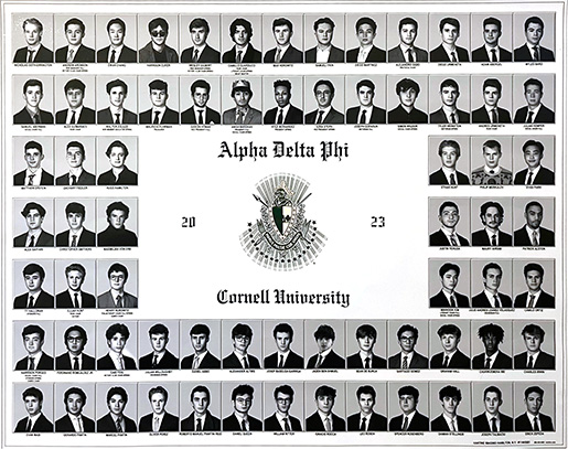 Alpha Delt - Home